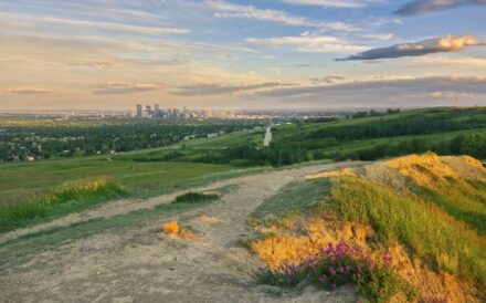 Genesis Buys 460 Acres of Calgary Residential Land - Connect CRE Canada